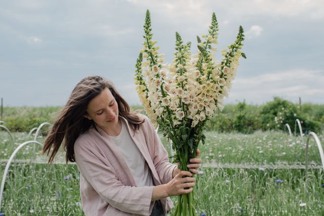 Náprstník Camelot Cream · Loukykvět