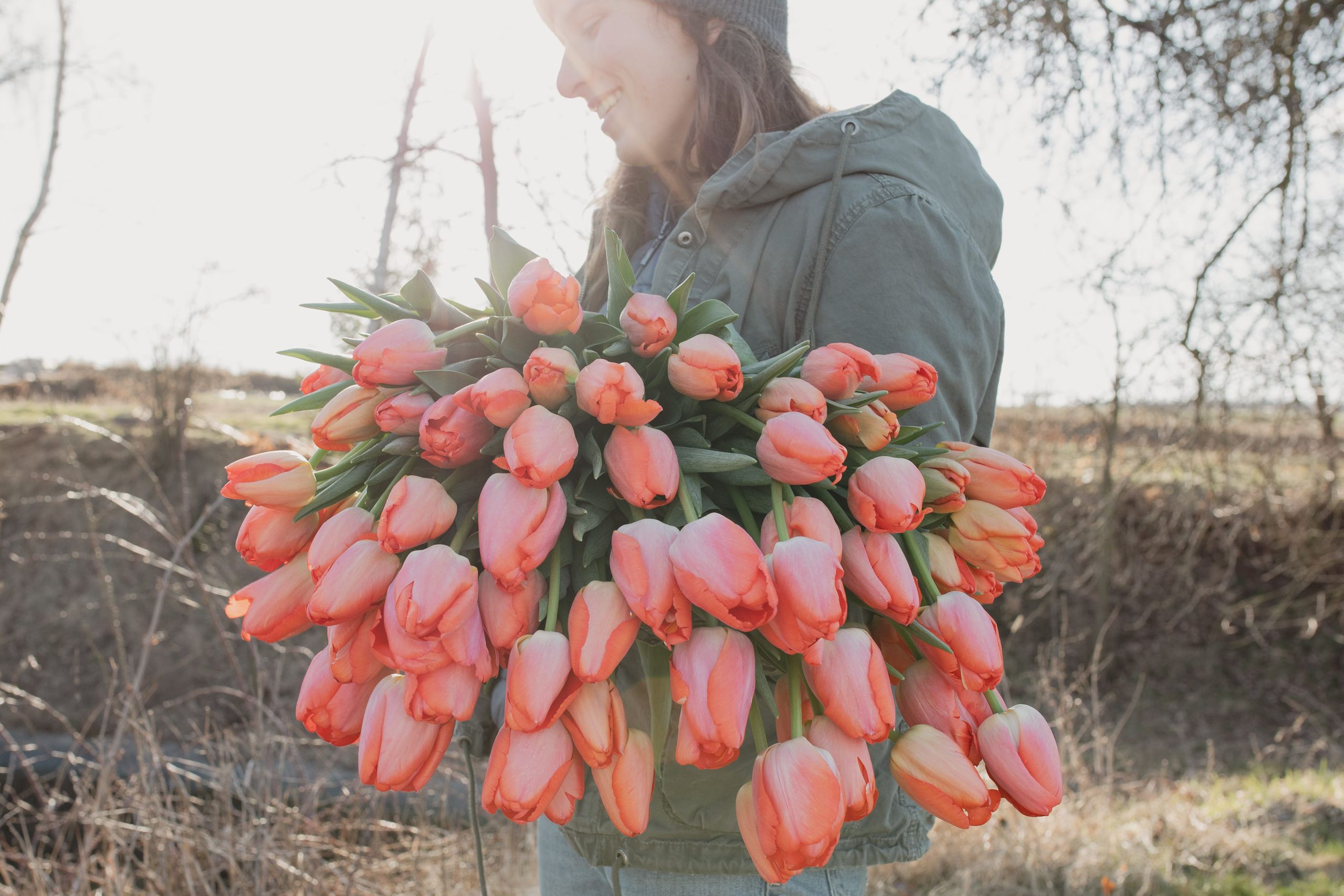 Tulipán Orange Pride (Zantucot) · Loukykvět