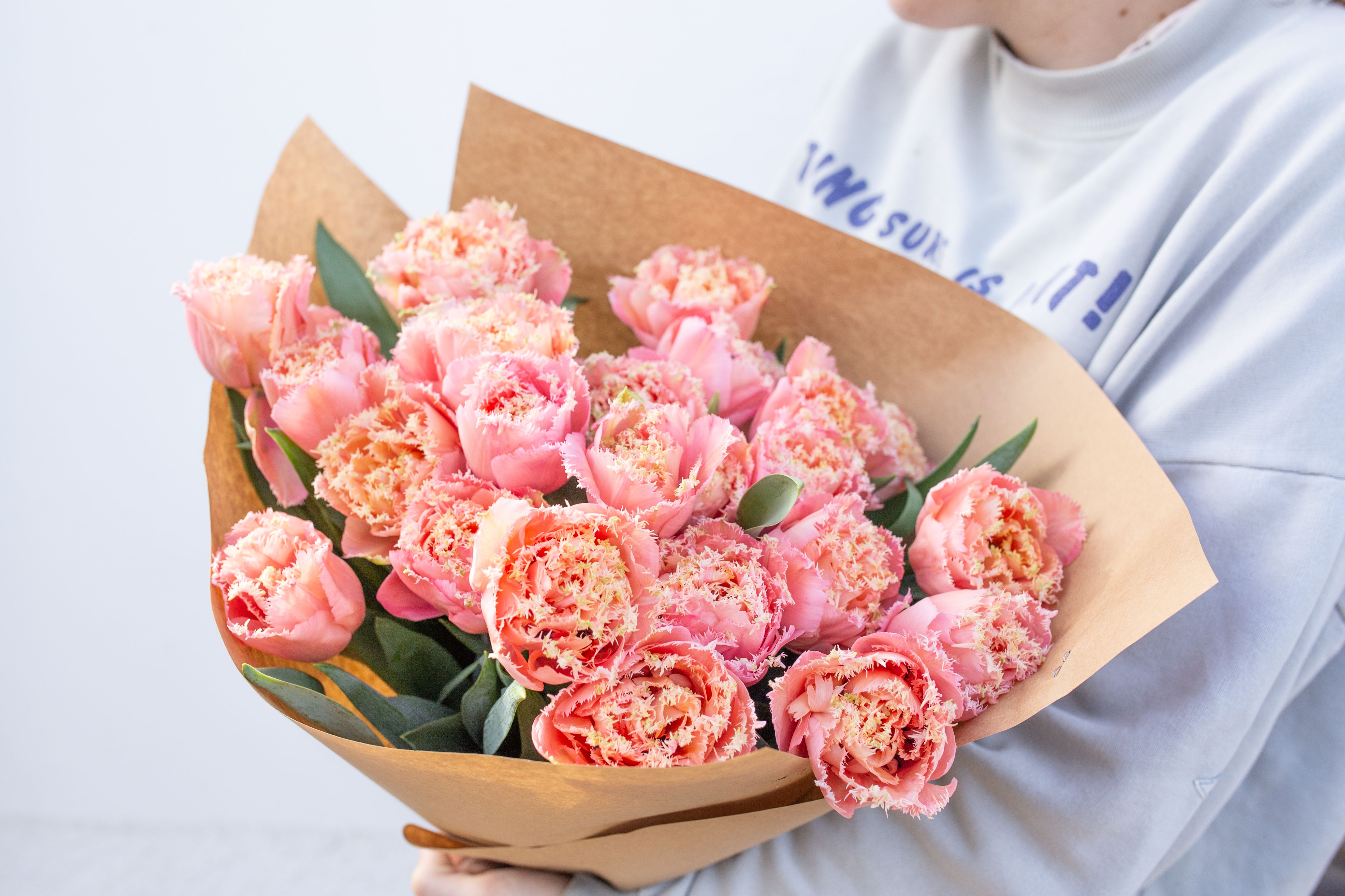 Tulipán Pink Magic · Loukykvět